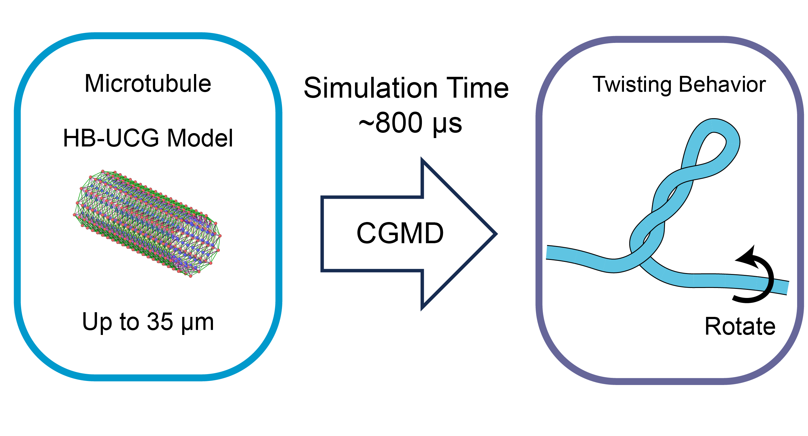 Coarse-Grained Simulation of Persistence Length and Twisting Dynamics ...